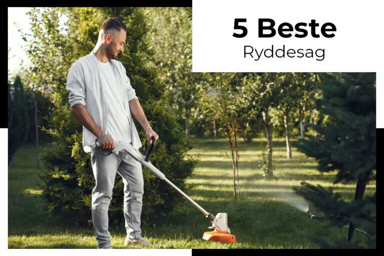 Ryddesag test: 5 Beste Ryddesag 2026 - kjaptforklart 2026